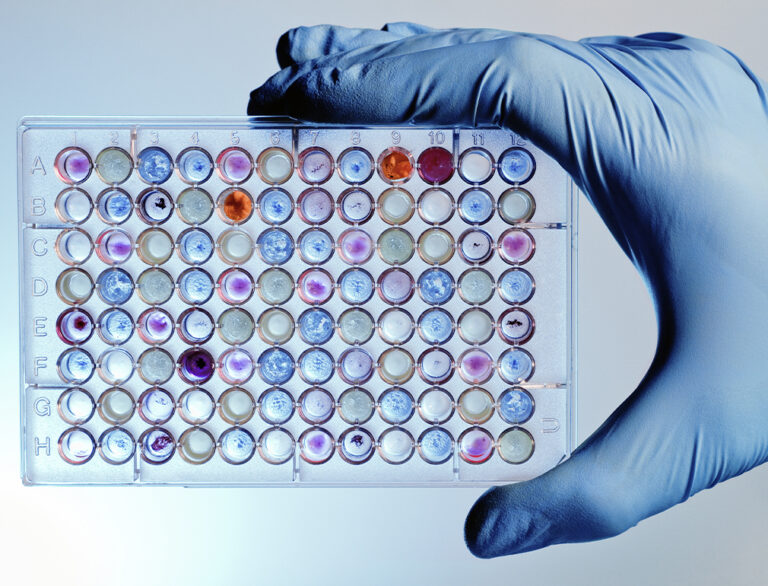 Industrial Measurement Instruments | Polypico